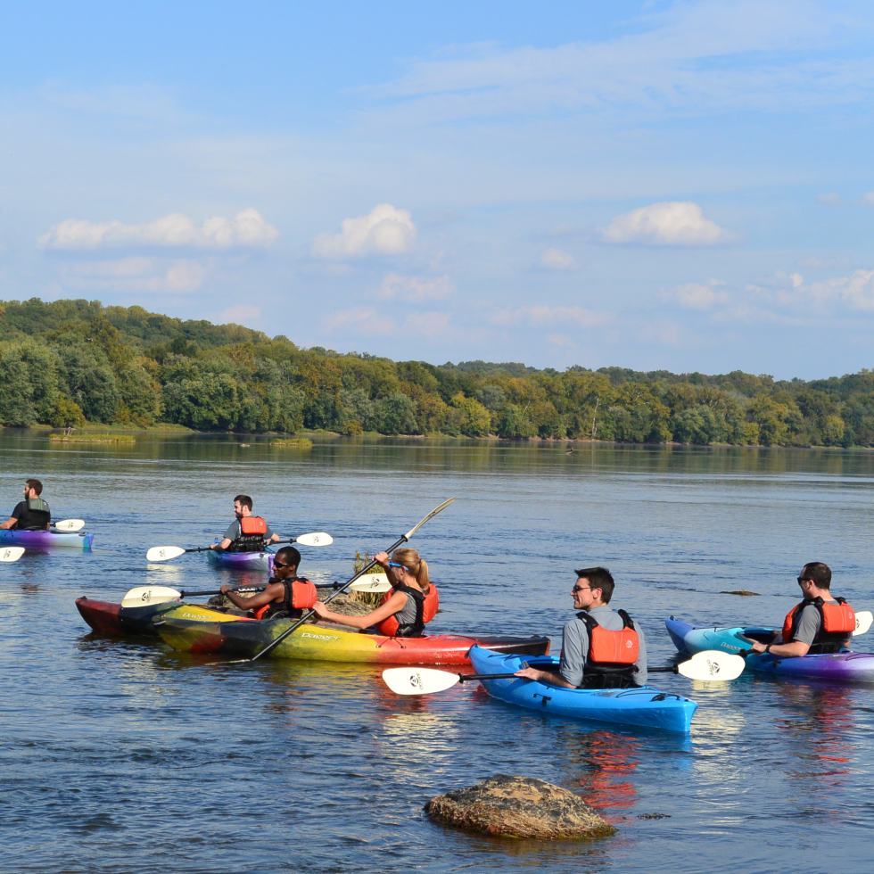 Join Us - Engenium Group